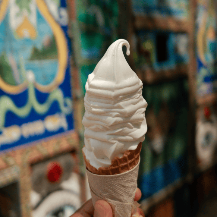 Where to Get Soft Serve Ice Cream in Animal Kingdom - Adam Bryan