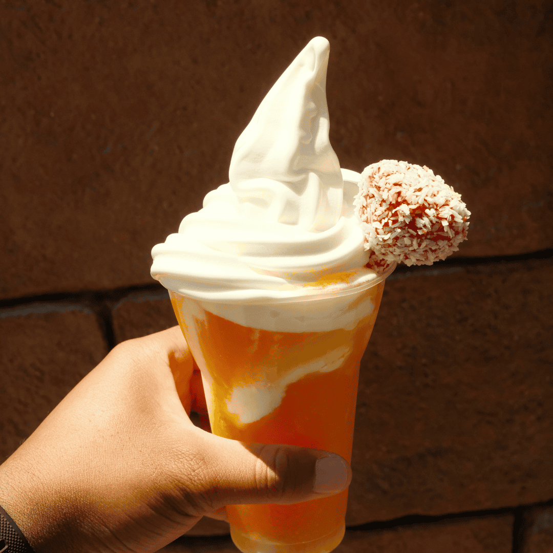 Where to Get Soft Serve Ice Cream at Disney World - Adam Bryan